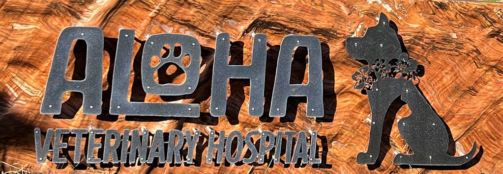 Animal Lovers - This Article is for YOU! - LKNConnectCommunity