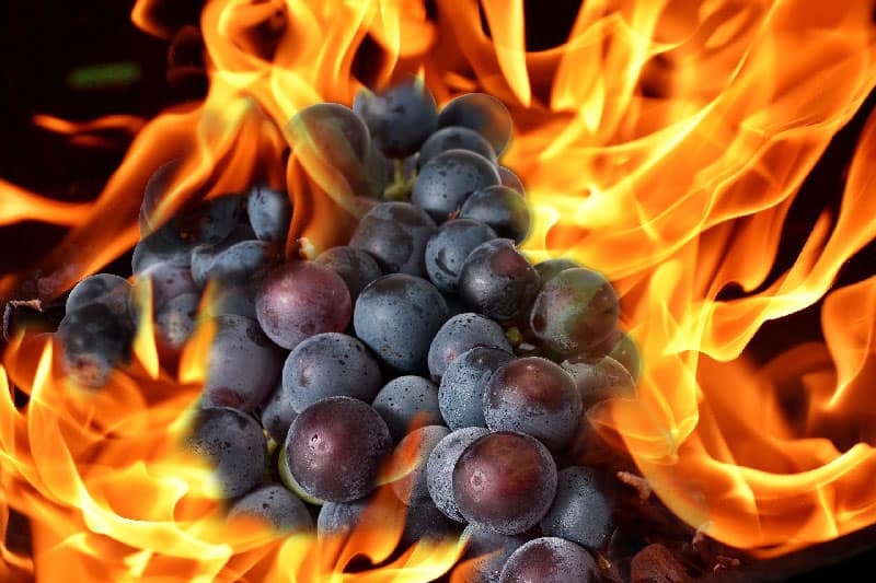 Wines: So Much for the 2020 Vintage - LKNConnectCommunity