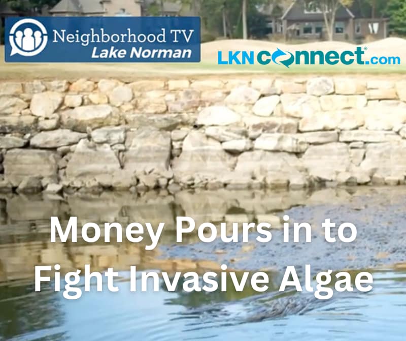 Invasive Algae Solution Lknconnectcommunity