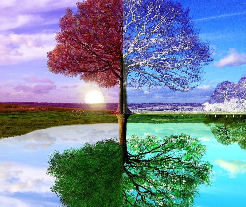 Nature's Cues for Balance—The Changing Seasons - LKNConnectCommunity