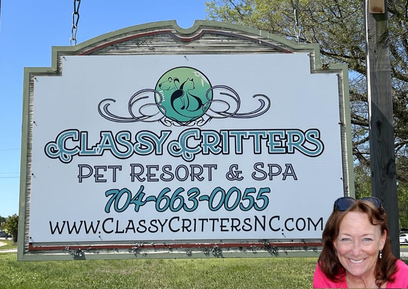 CLASSY CRITTERS – the Perfect Place for Your Fur-babies! - LKNConnect ...